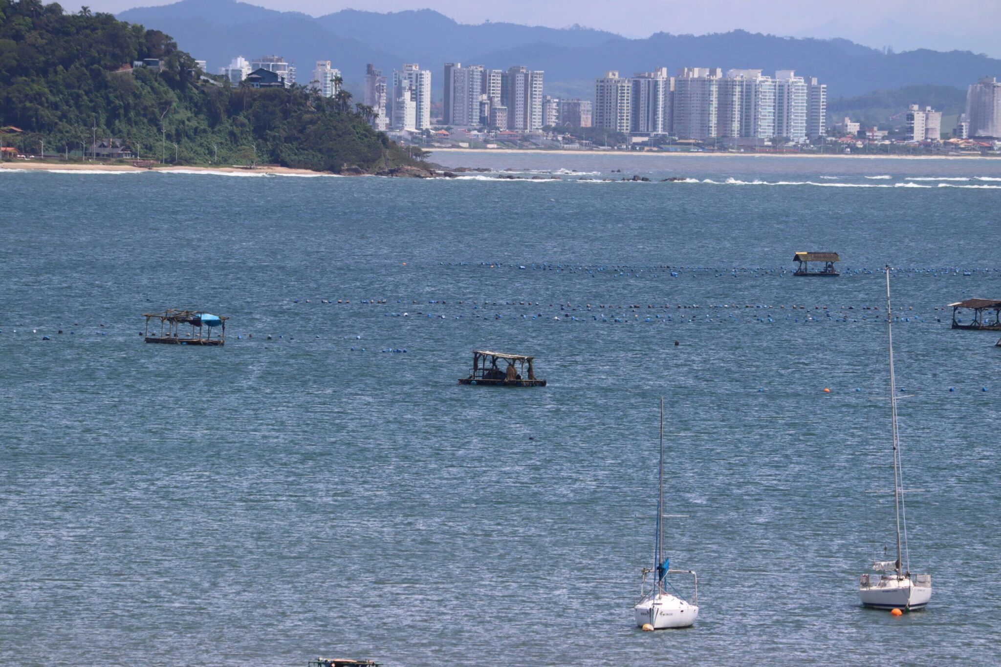 Penha é a terceira maior produtora de mariscos do Brasil e Santa Catarina