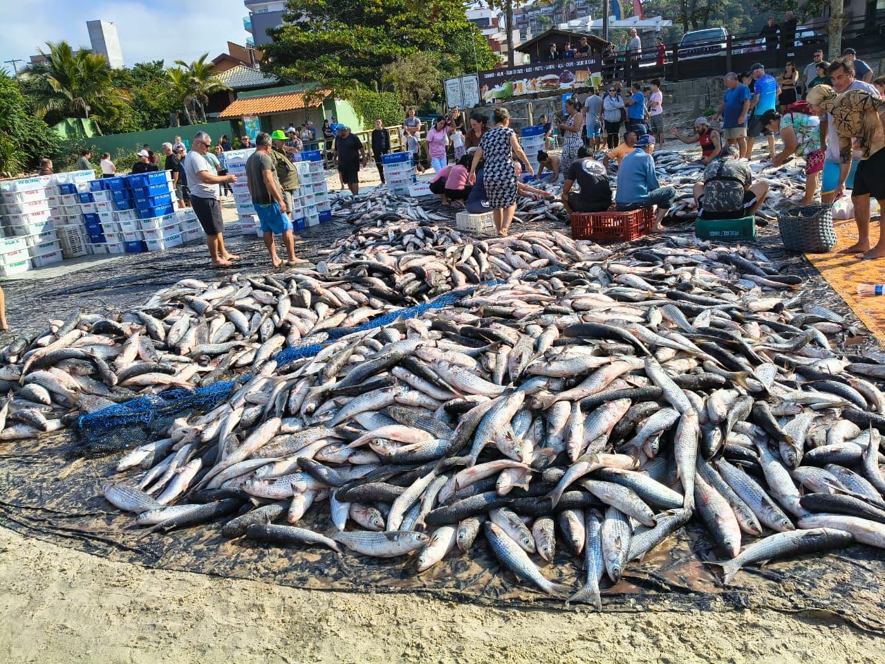 Senador Hermes Klann apresenta projeto para derrubar portaria que ...